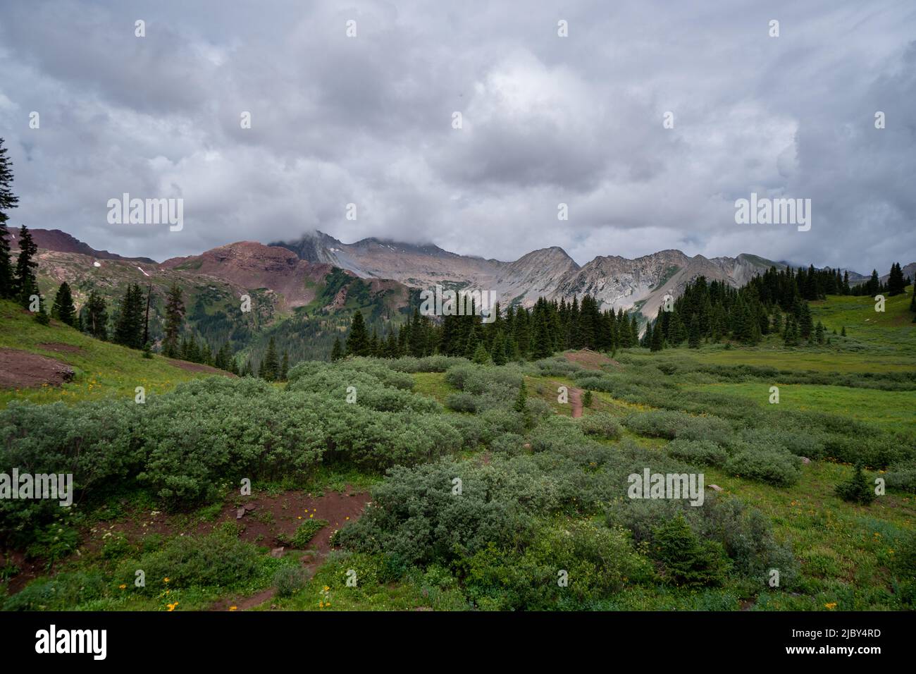 Colorado alpine hi-res stock photography and images - Alamy