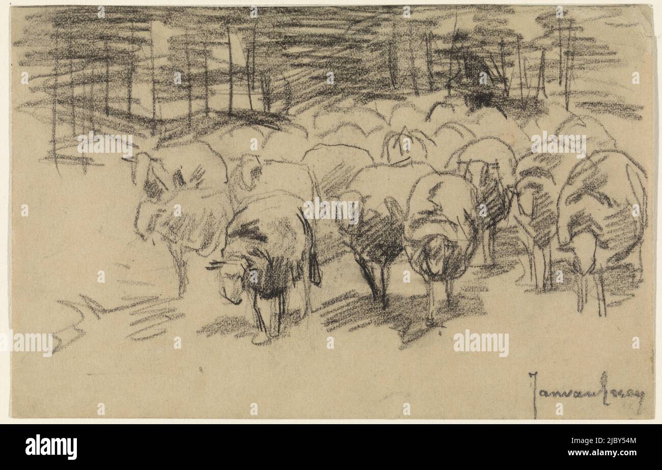 Herd of sheep, Jan van Essen, 1864 - 1936, draughtsman: Jan van Essen ...