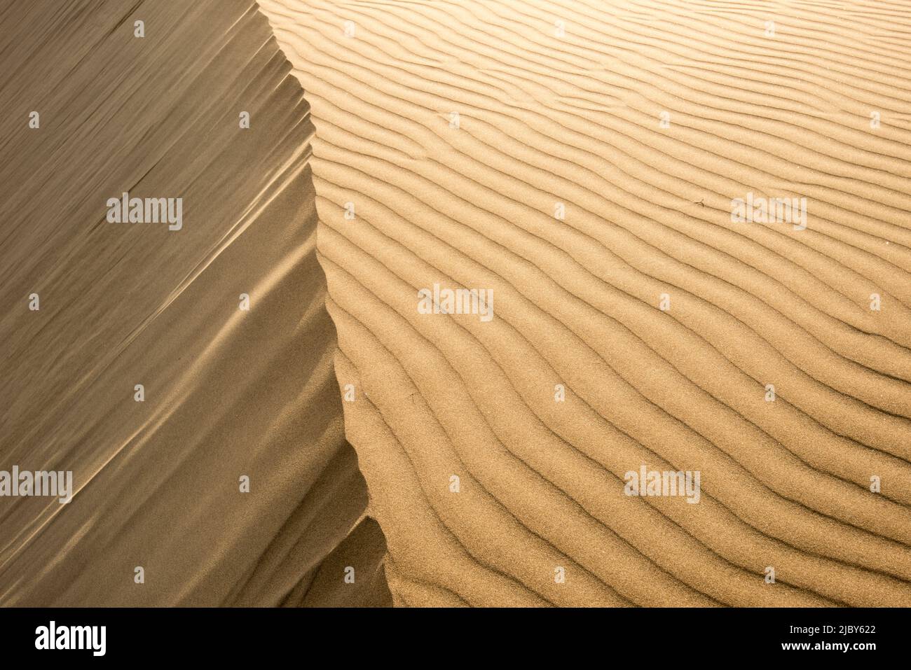 Shadows on ripples on sand dunes, Isla Magdalena, Baja California Sur ...