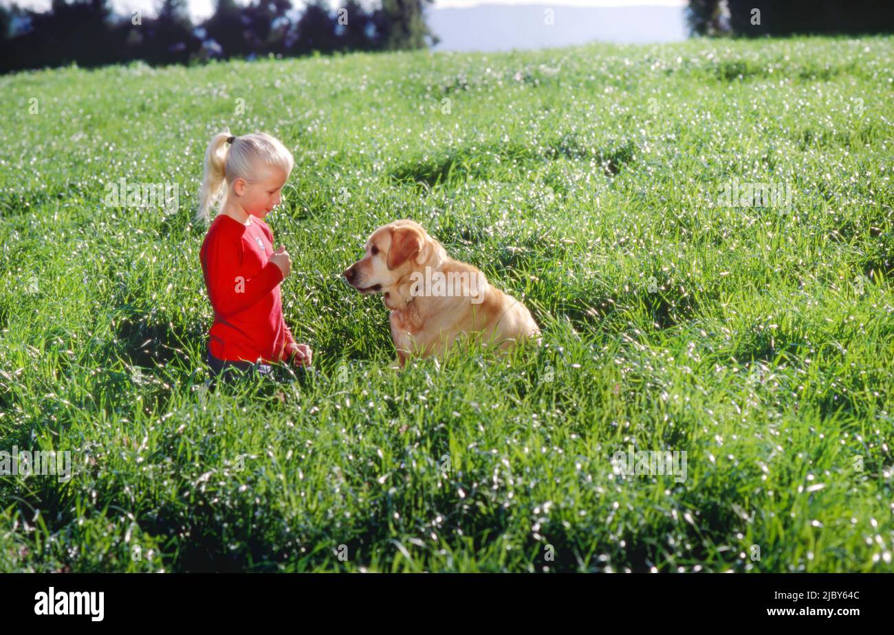 Young girl sitting in green pasture with golden labrador dog Stock ...