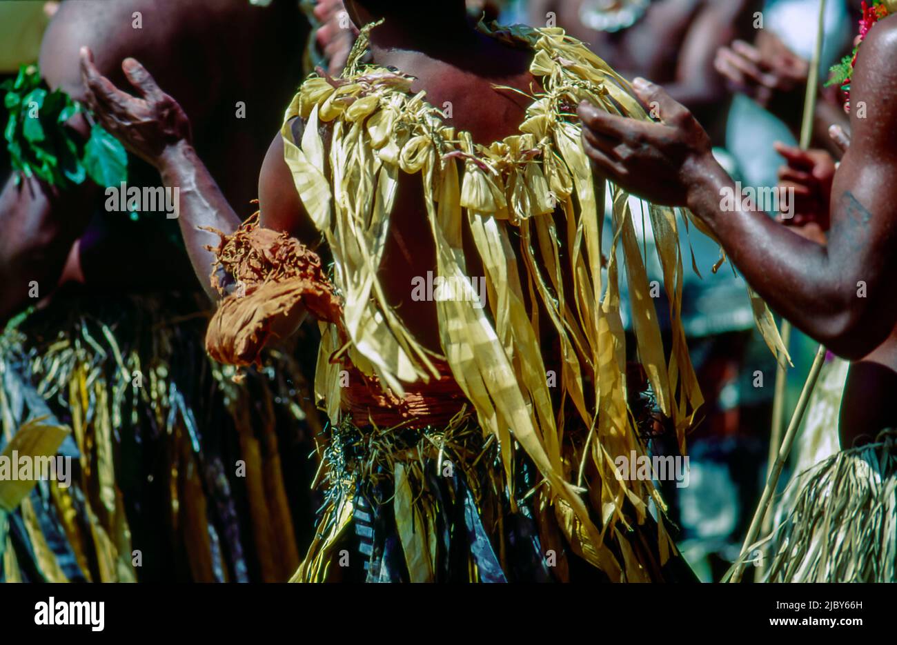 Native Fijian men dressed in traditional dress performing and dancing ...