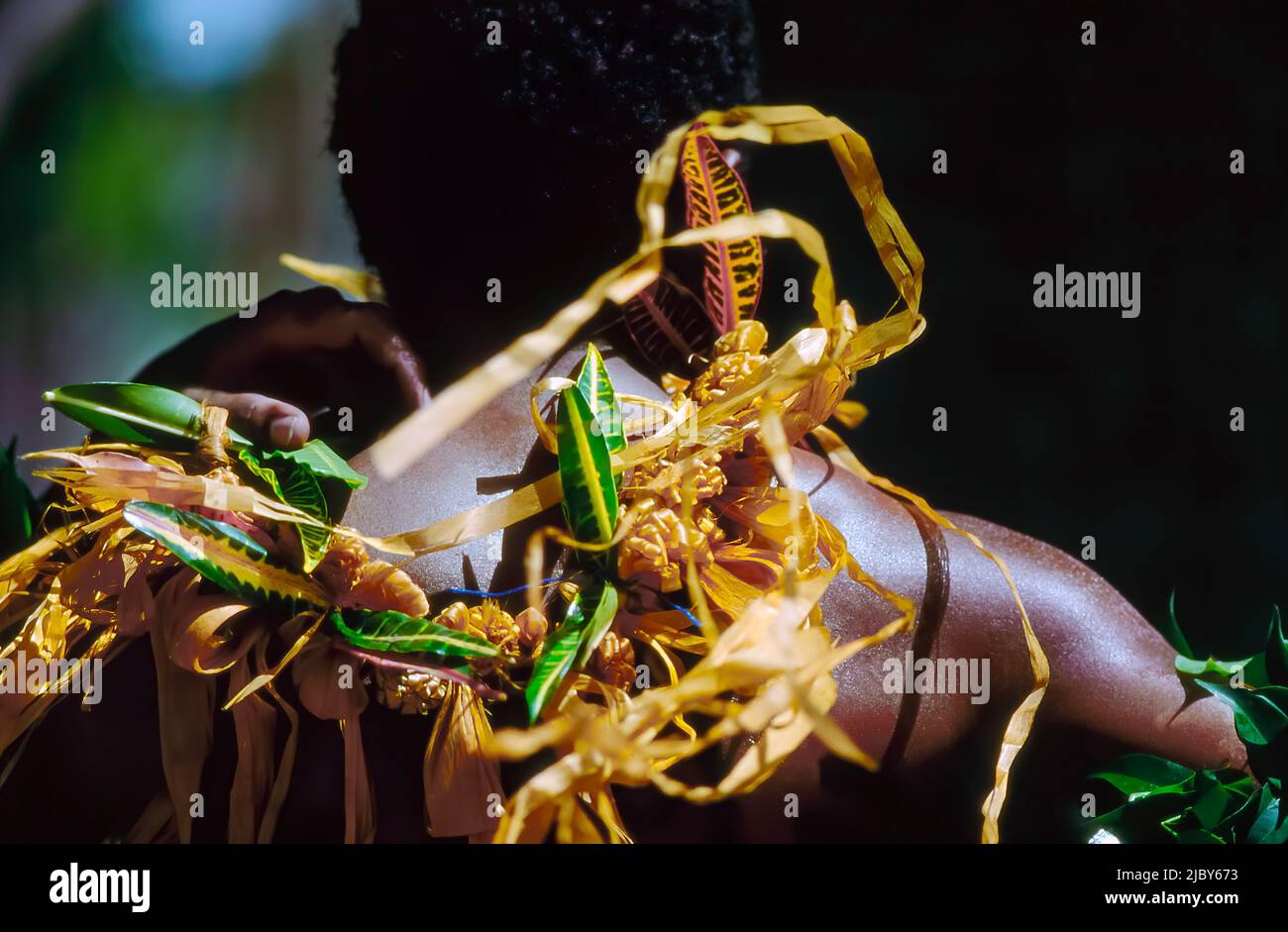 Indigenous fijian man hi-res stock photography and images - Alamy