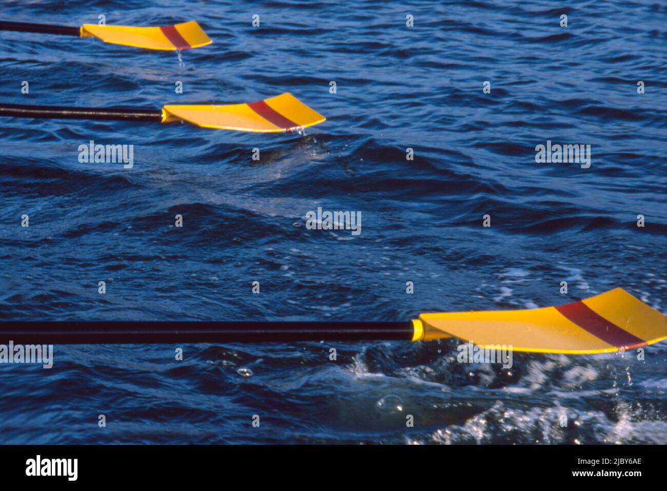 Rowing oars hi-res stock photography and images - Alamy