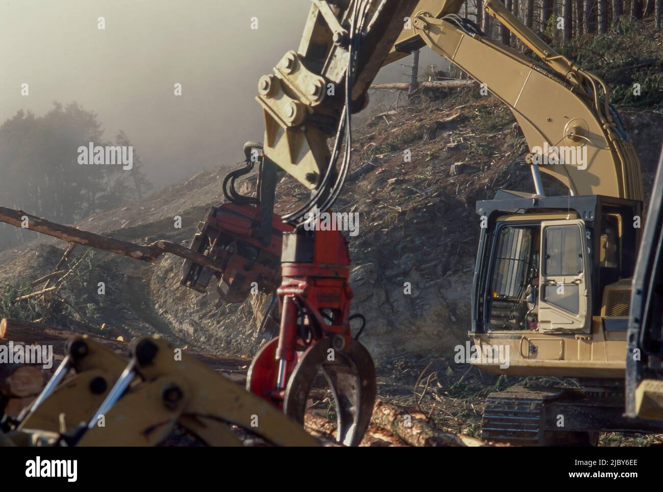 Heavy machinery lifting logs in forestry Stock Photo - Alamy