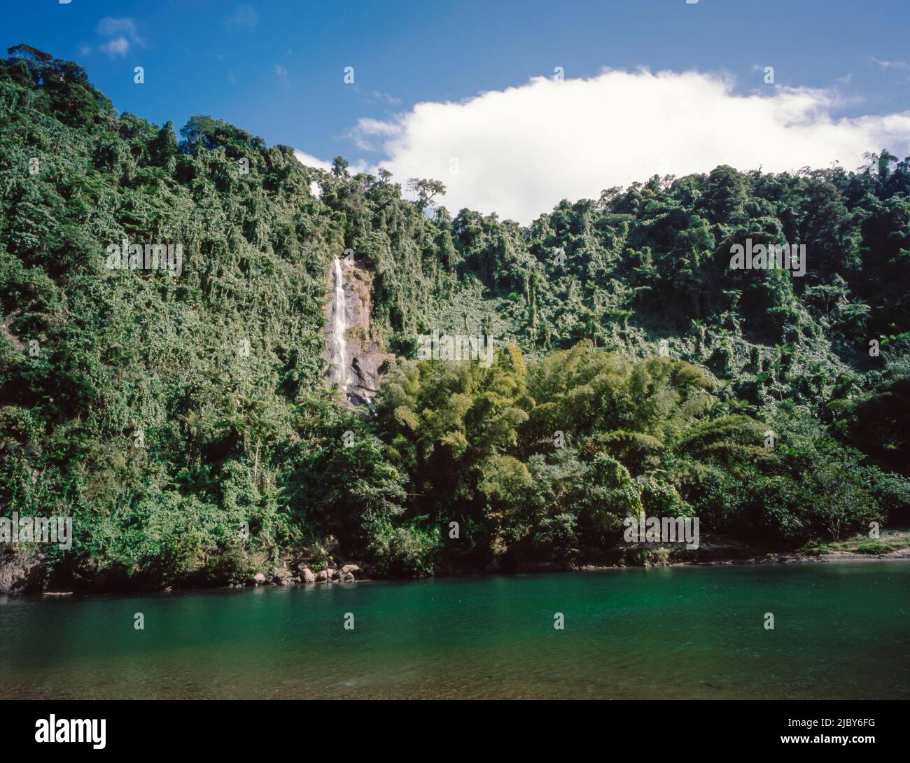 Waterfall cascading down cliff face amongst tropical vegetation into ...