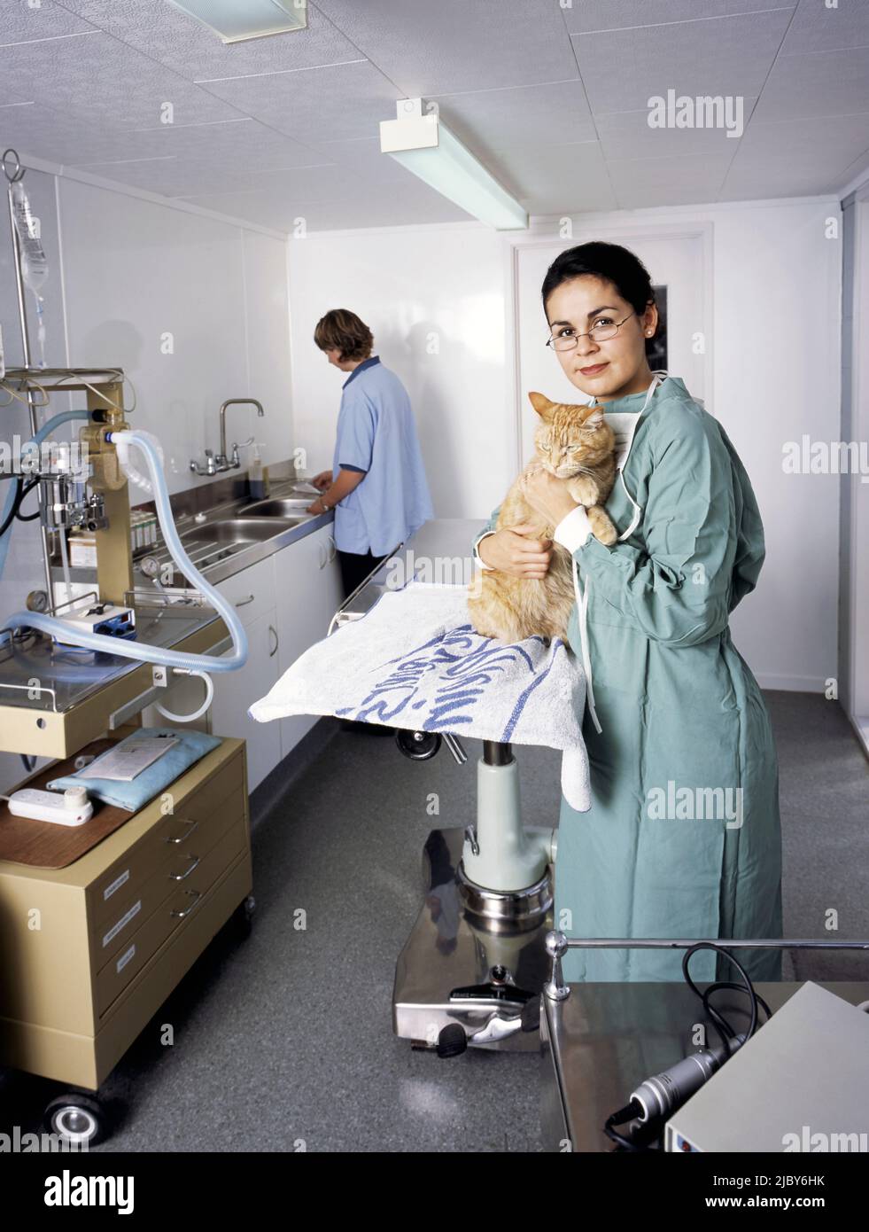Vet treating cat hi-res stock photography and images - Alamy