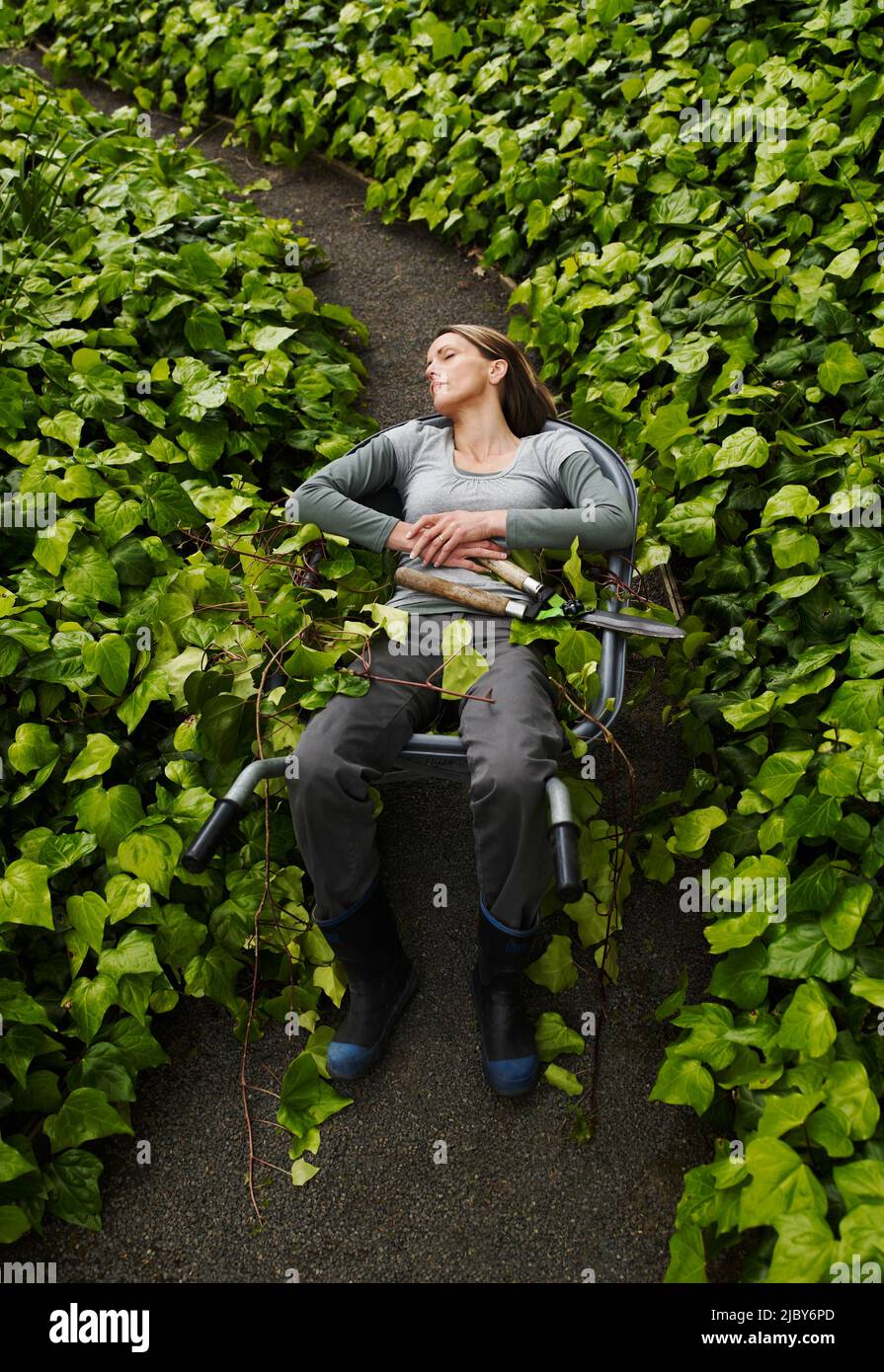Woman laying in wheelbarrow with trimmers taking a rest in amongst ivy ...