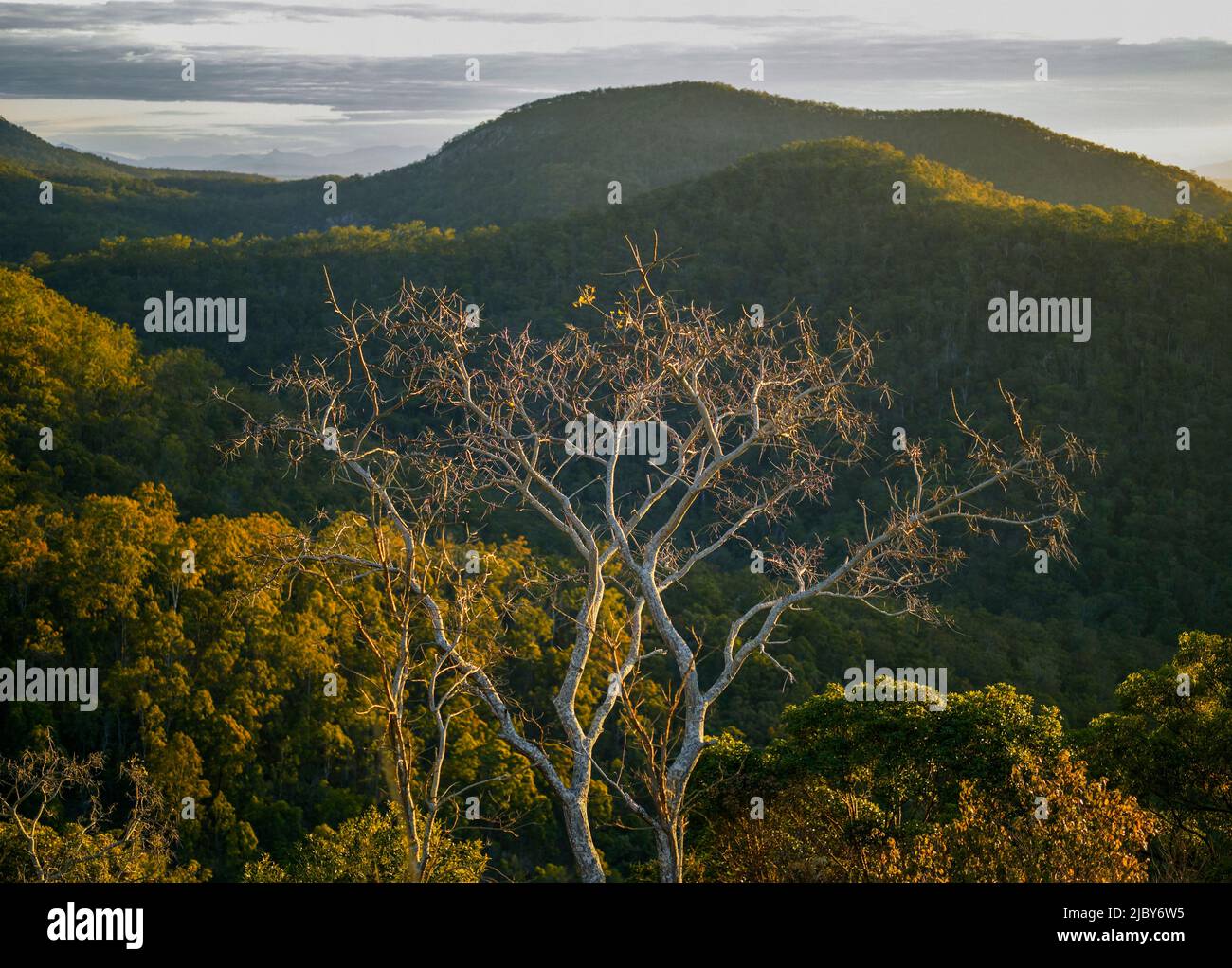 Rolling hills and Australian hinterland in late afternoon Stock Photo ...