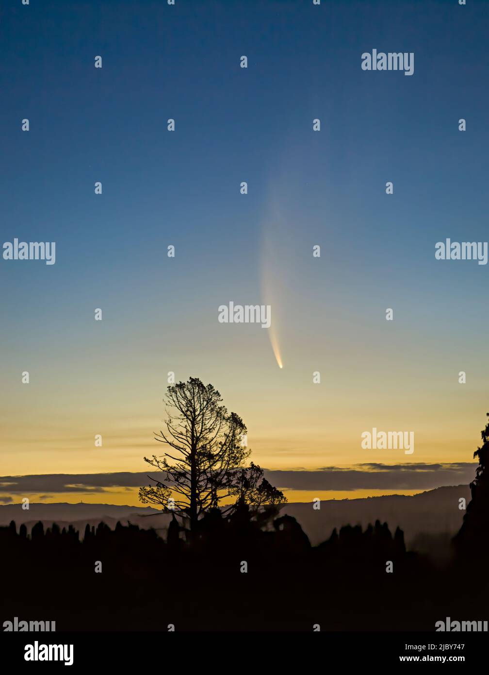 Comet McNaught in the sky at sunset traveling over trees and hills ...