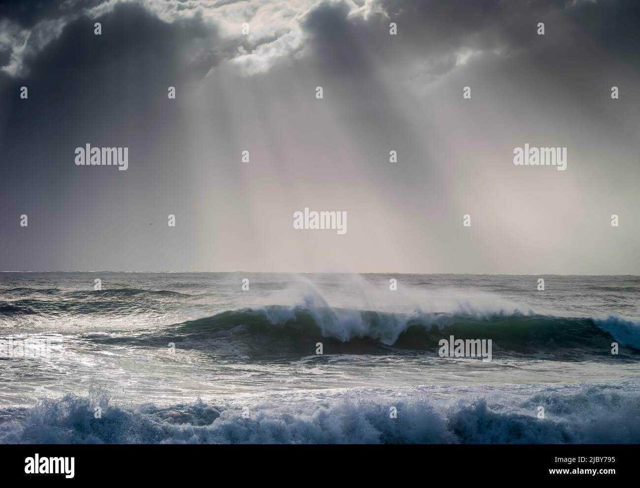 Huge wave curling over and breaking during cyclone Ola with stormy sky ...