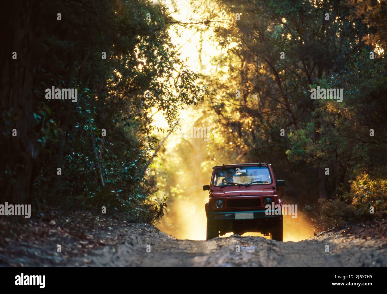 4WD on sandy track driving through native bushland - Fraser Island ...
