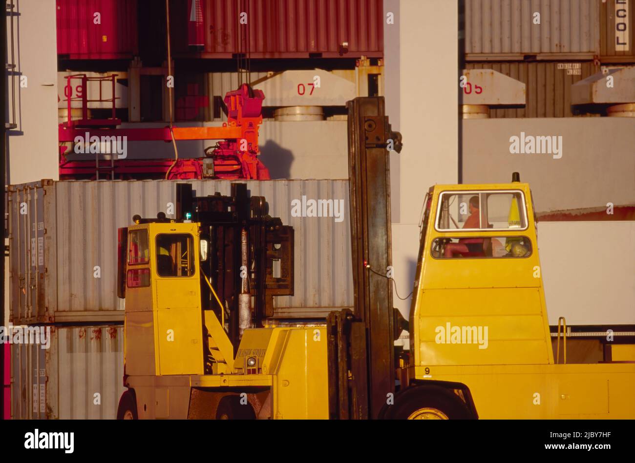 Two forklifts working with shipping containers at the port Stock Photo ...