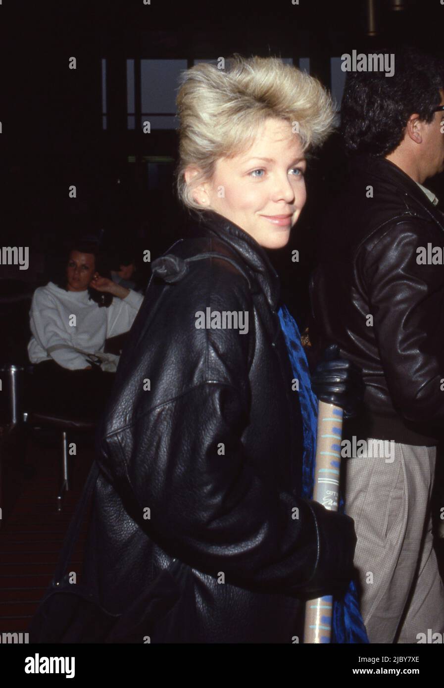 Lisa Hartman Circa 1980's Credit: Ralph Dominguez/MediaPunch Stock ...