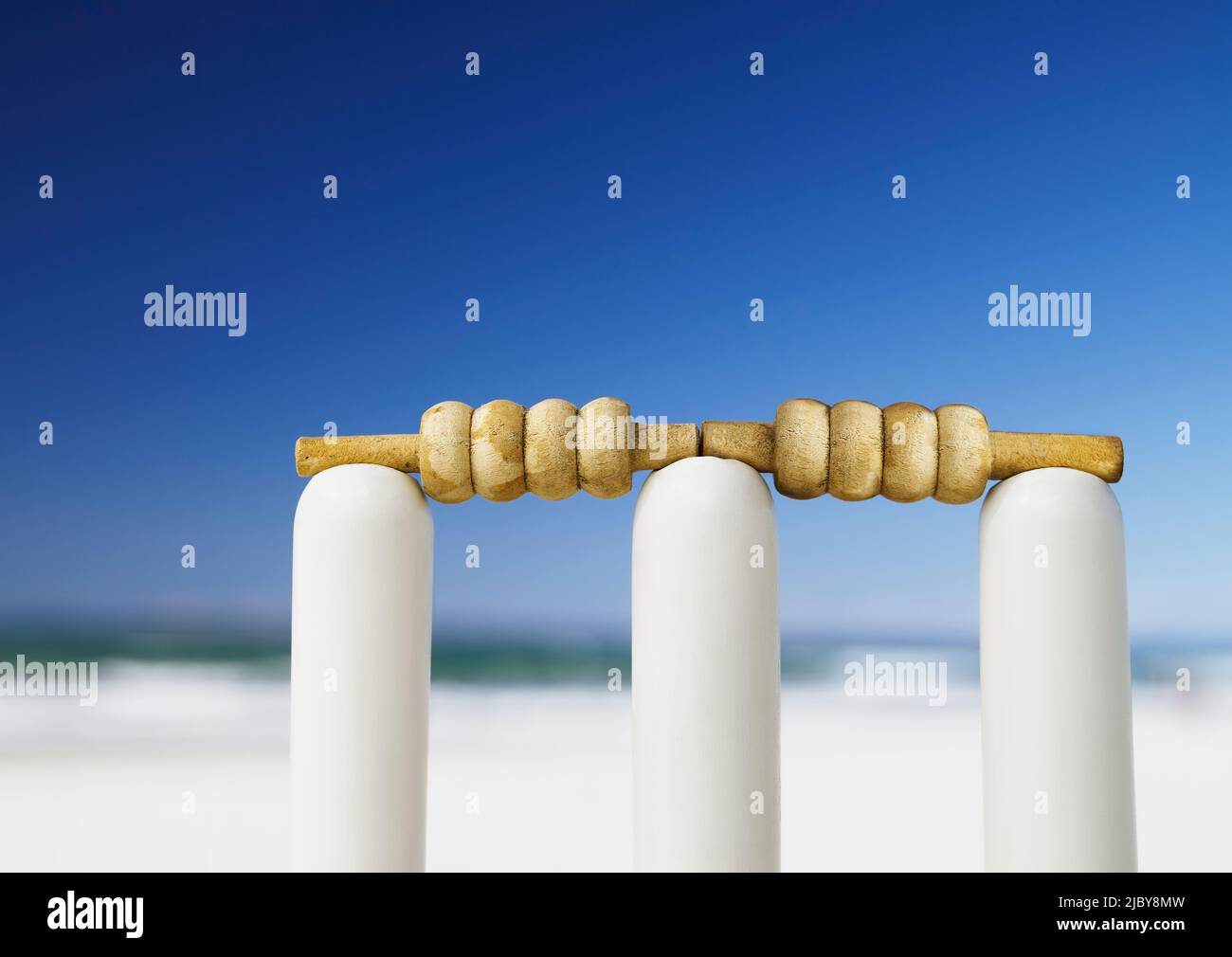 Bails on top of stumps to create a wicket ready to play cricket at the ...