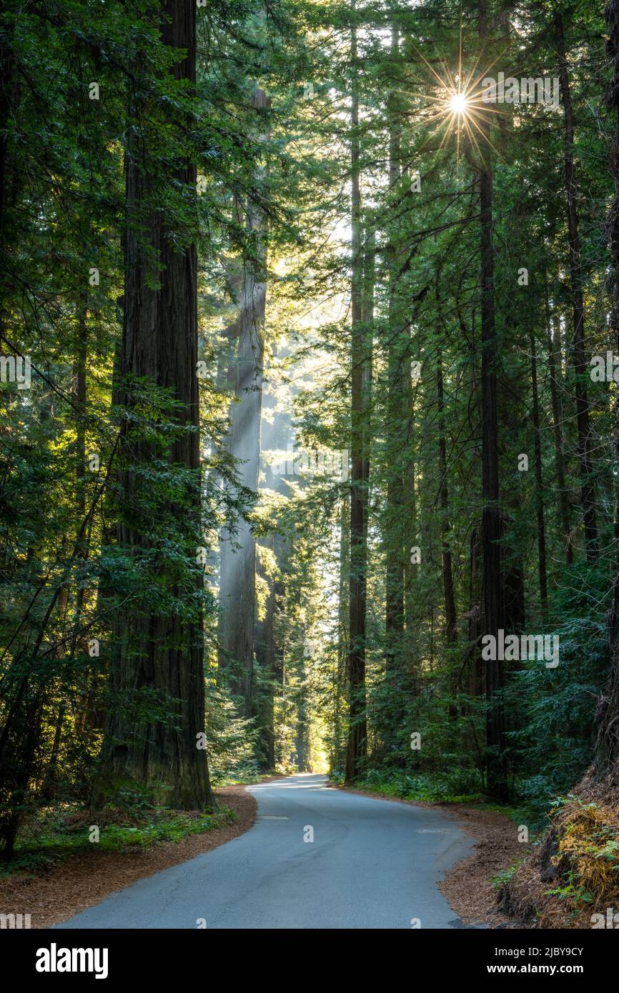Aerial view oregon forest hi-res stock photography and images - Alamy