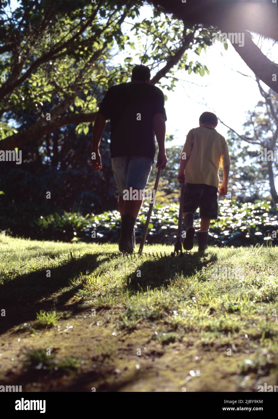 Father son working in yard hi-res stock photography and images - Alamy