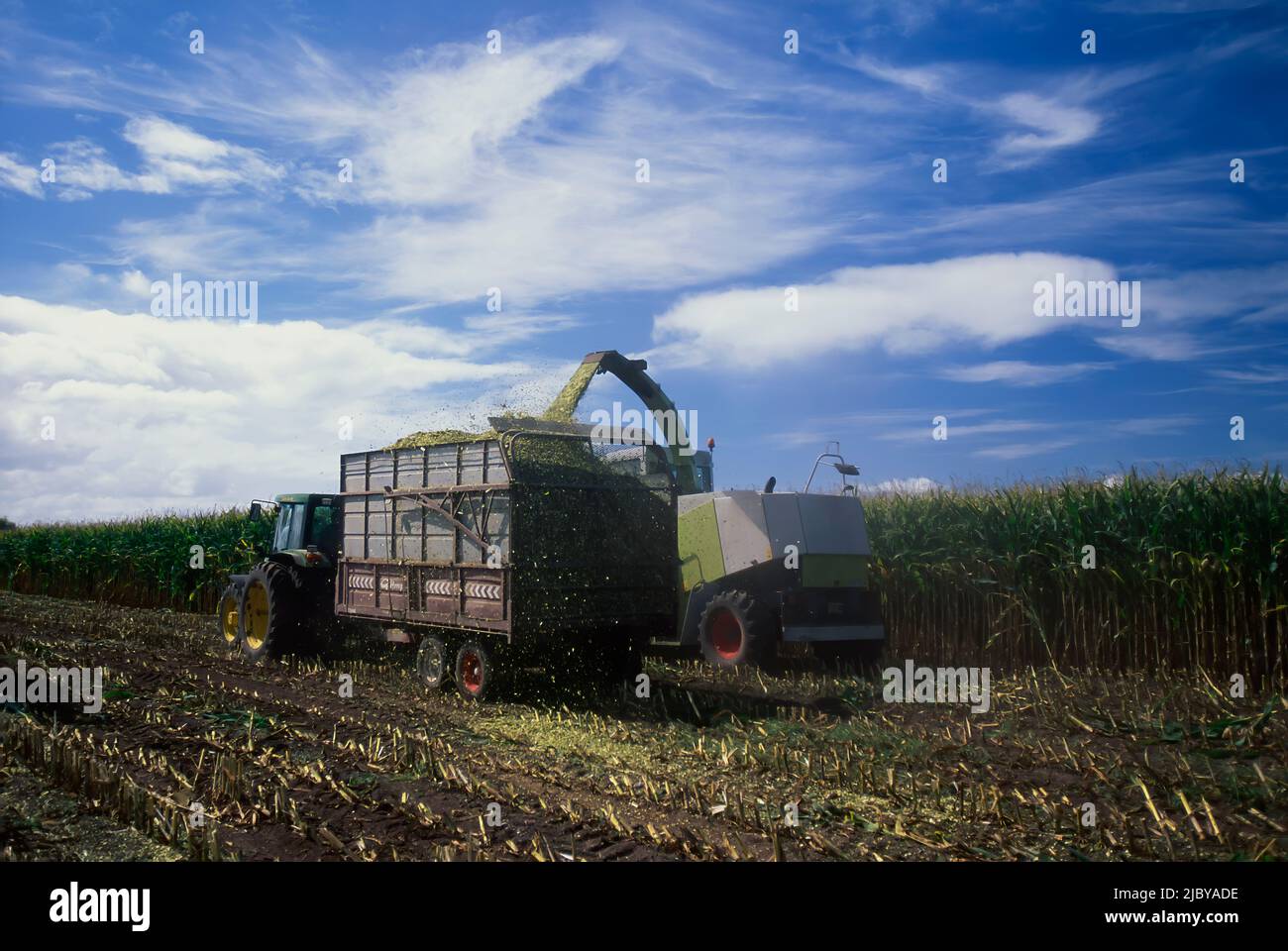 Combine Harvester filling truck with maize crop Stock Photo - Alamy