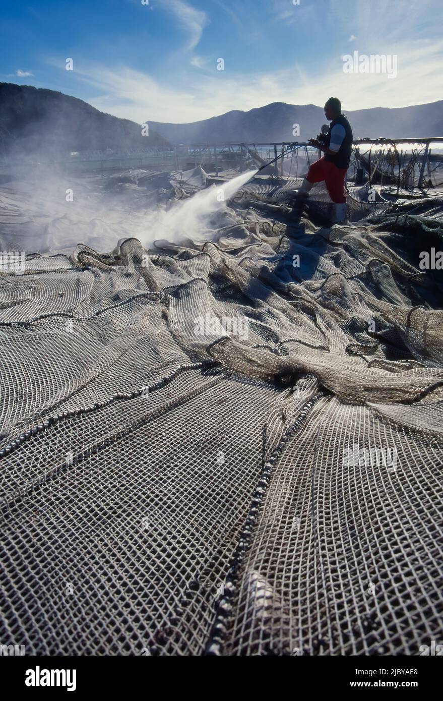 Salmon farming nets hi-res stock photography and images - Alamy