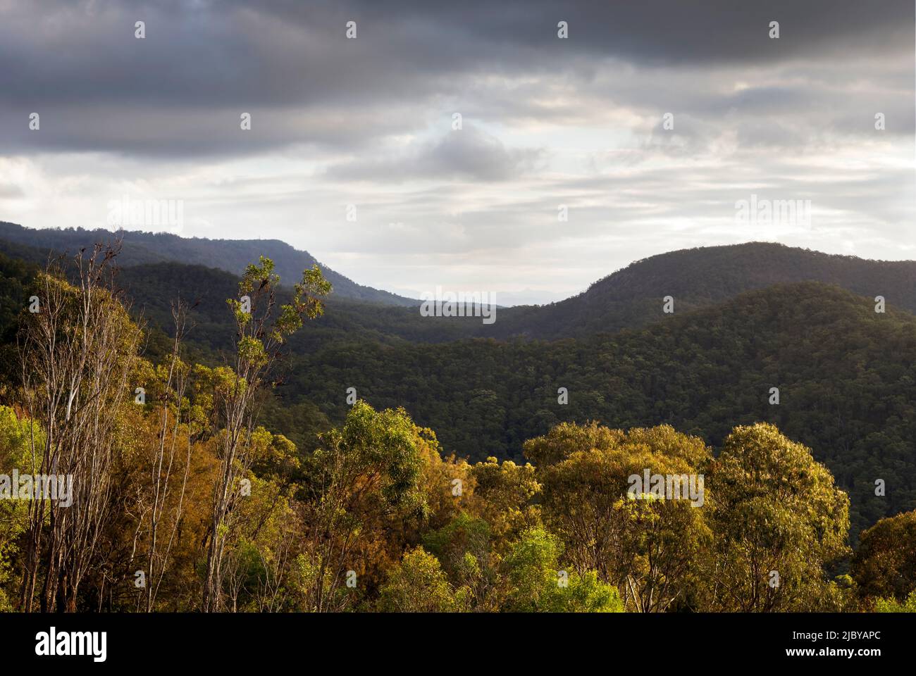 Australian bushland hi-res stock photography and images - Alamy