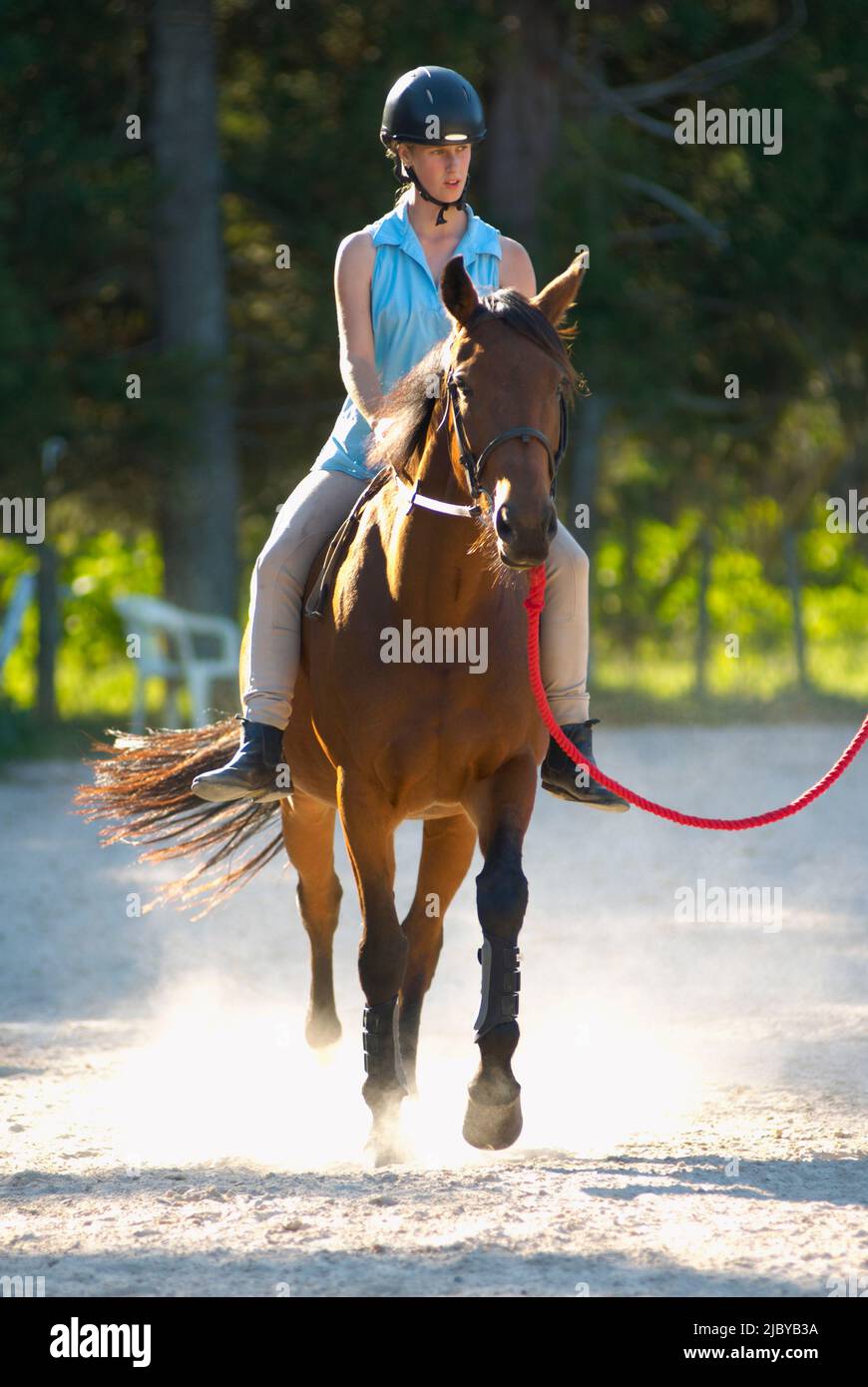 Teenage girl riding horse bareback on lunge rope Stock Photo - Alamy