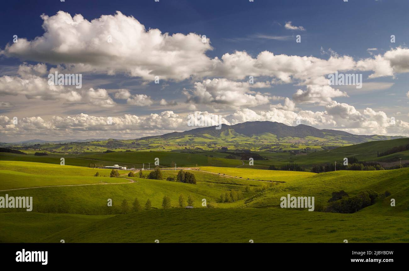 Landscape of Dairy Farm Stock Photo - Alamy