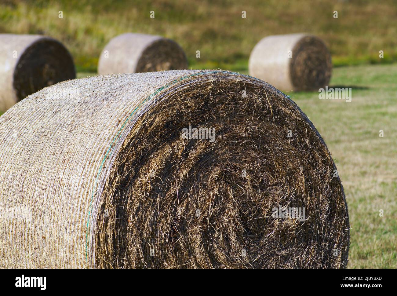 Field and haybales hi-res stock photography and images - Alamy