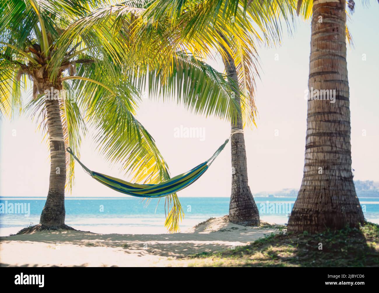 Hammock tied between two palm trees on tropical beach in Fiji Stock Photo - Alamy