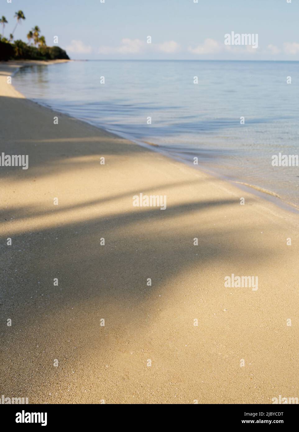 Shadows of palm trees hi-res stock photography and images - Alamy