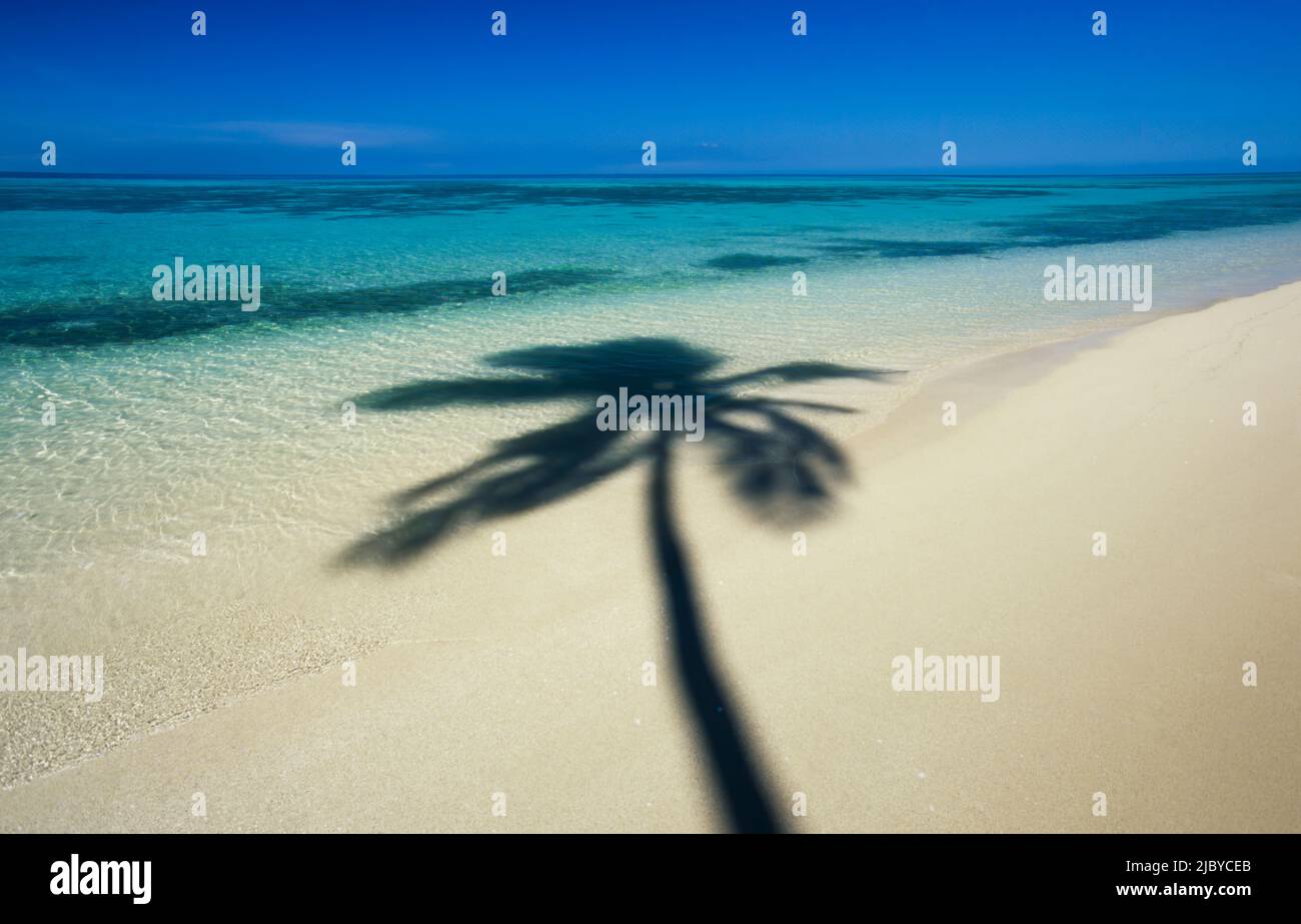 Shadows of palm trees hi-res stock photography and images - Alamy