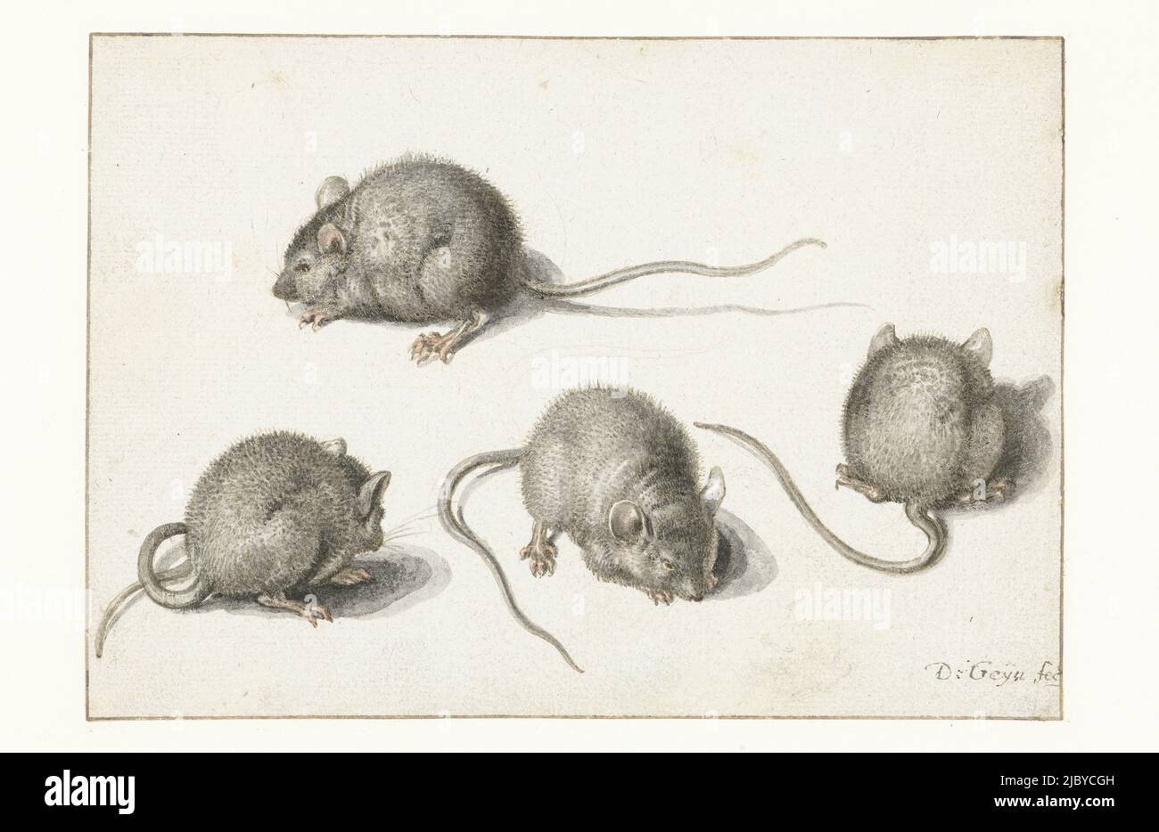 Diseased mouse hi-res stock photography and images - Alamy