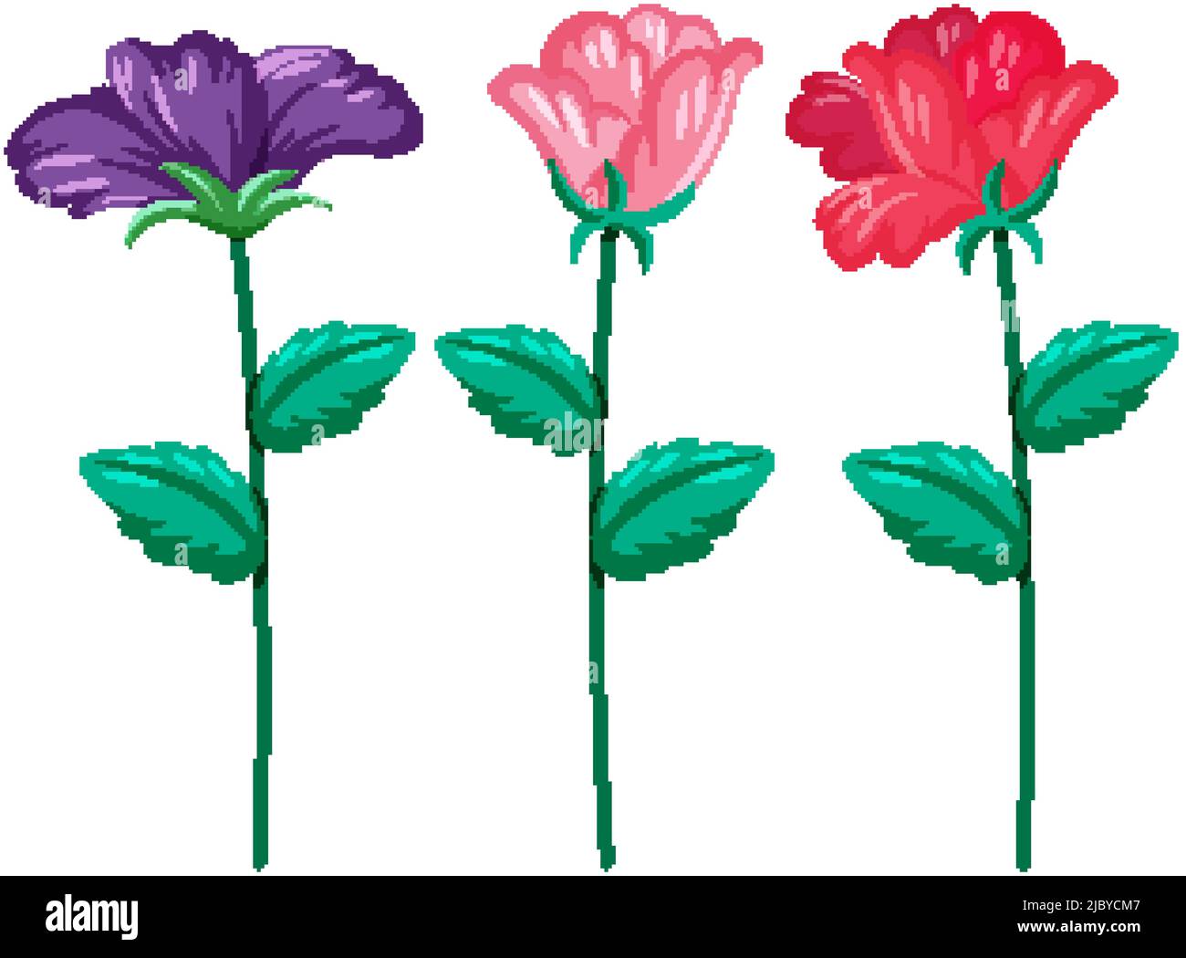 Three different colors flowers illustration Stock Vector Image & Art ...