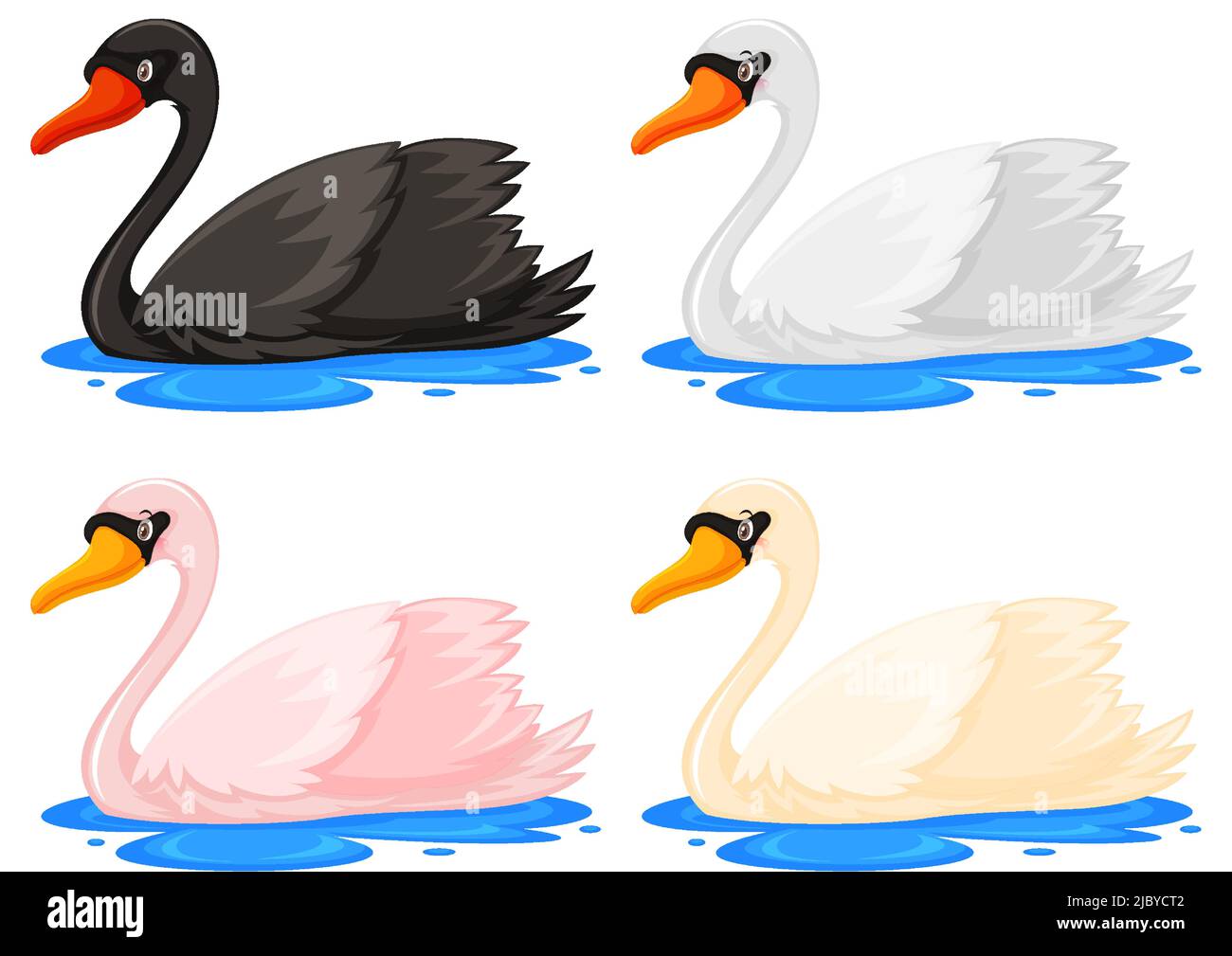 Four swans in different colours illustration Stock Vector Image & Art ...