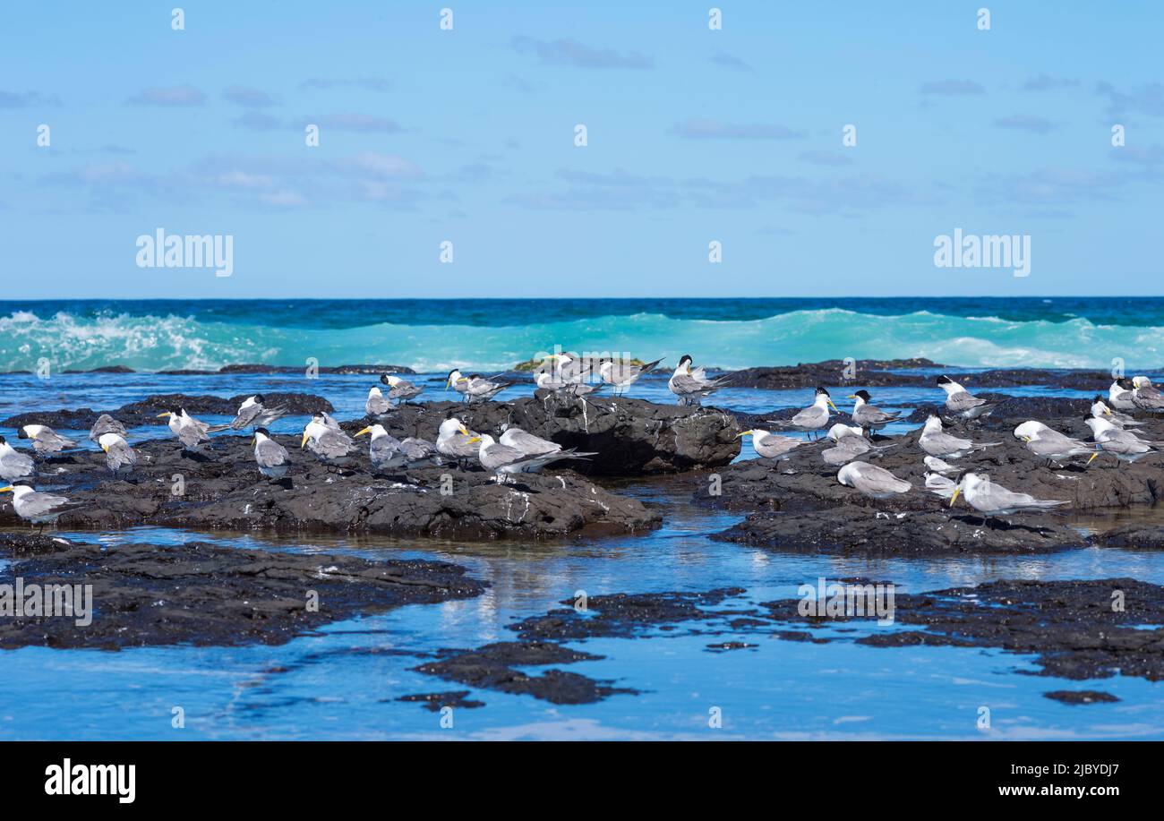 Flat waves horizontal hi-res stock photography and images - Alamy