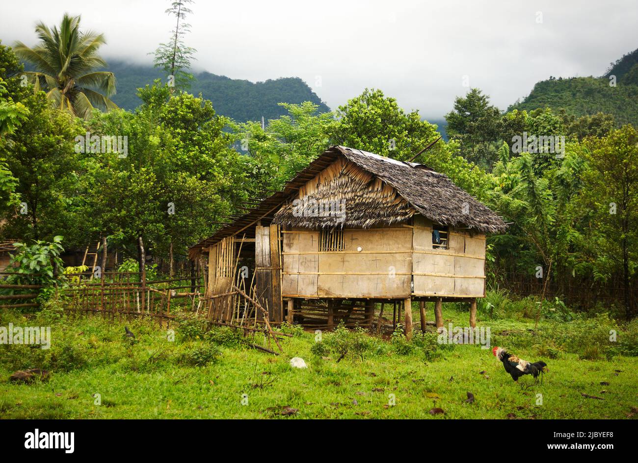 Little house on polls and garden in rural village outside of Calapan ...