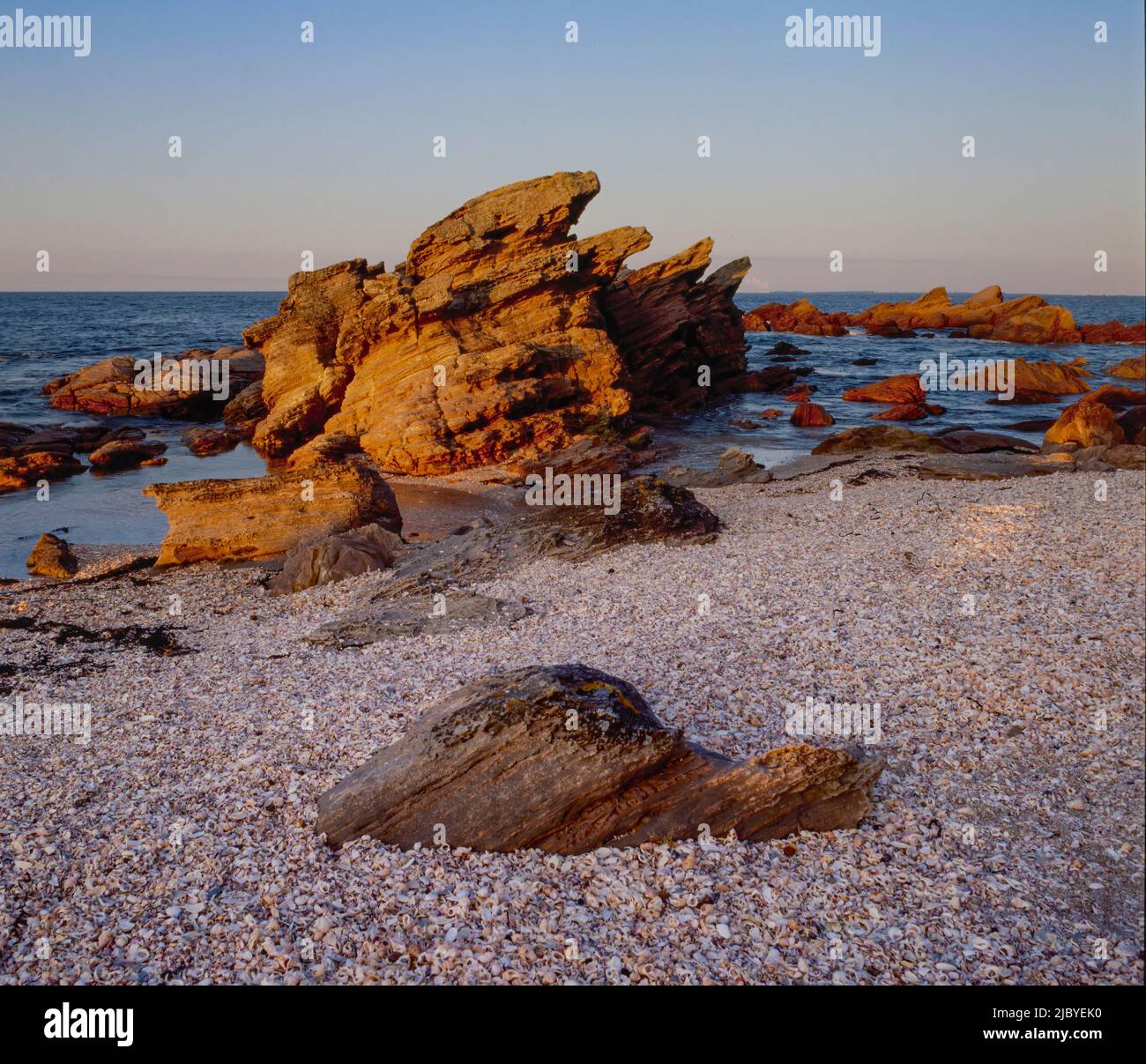 Shelley rocks hi-res stock photography and images - Alamy