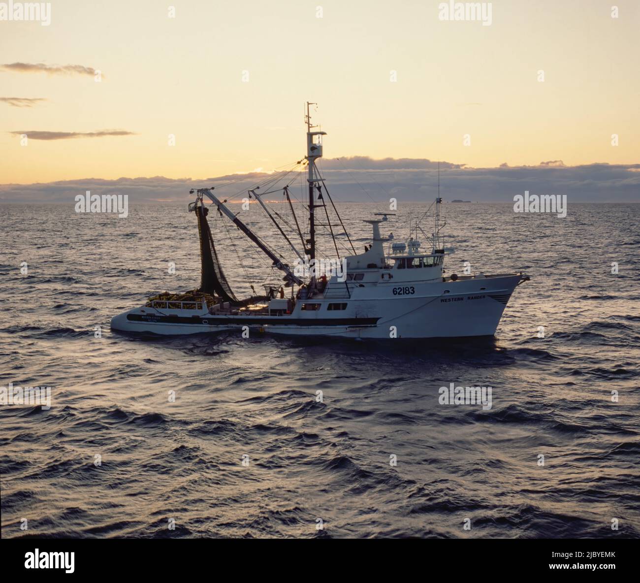 Fish harvesting fish hi-res stock photography and images - Alamy
