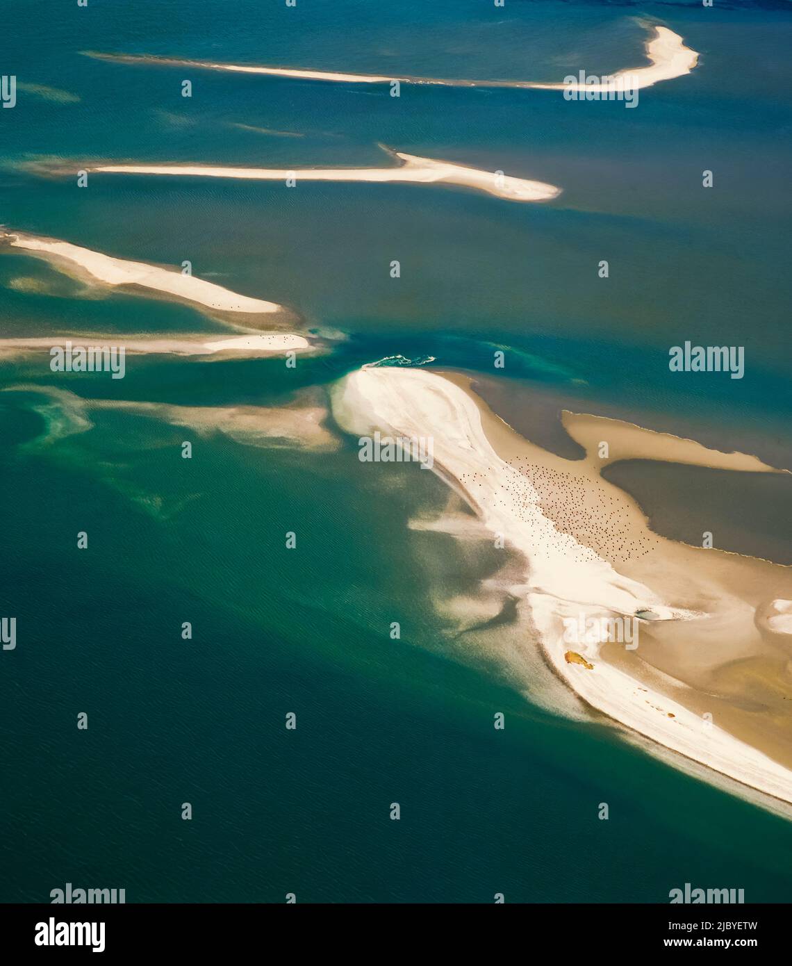 Aerial of Sandspits in tropical blue water and flock of birds flying ...