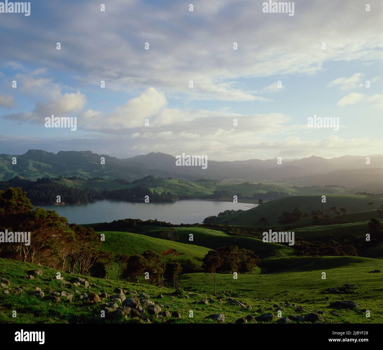Rolling green hills and estuary of Te Kouma in the Coromandel district ...