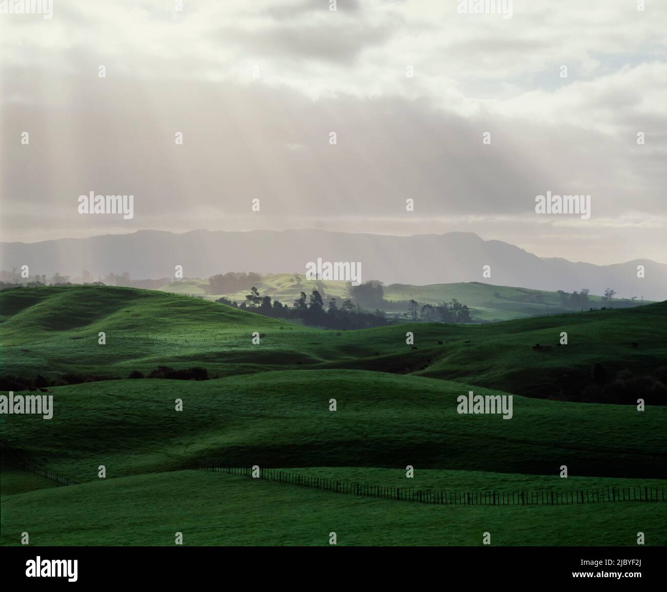 Sun's rays shining from clouds down onto rolling green fields Stock ...