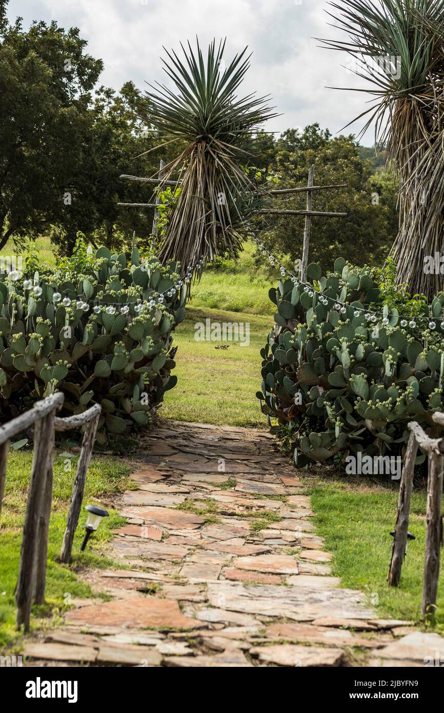 Stone walkway path on ranch leading to field between two large Cactus ...