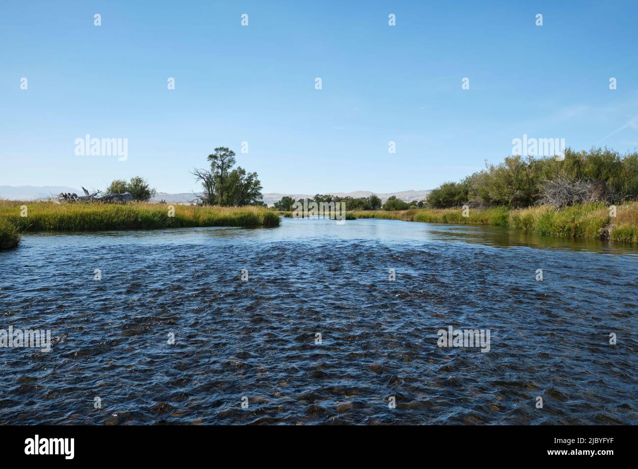 Fly fishing POV looking down a river Stock Photo - Alamy