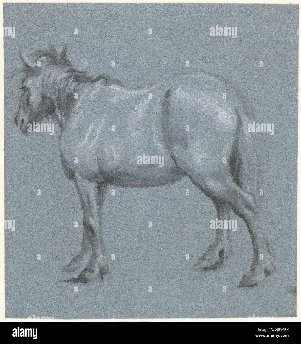 Horse in profile, to the left, Moses ter Borch, 1660, draughtsman ...