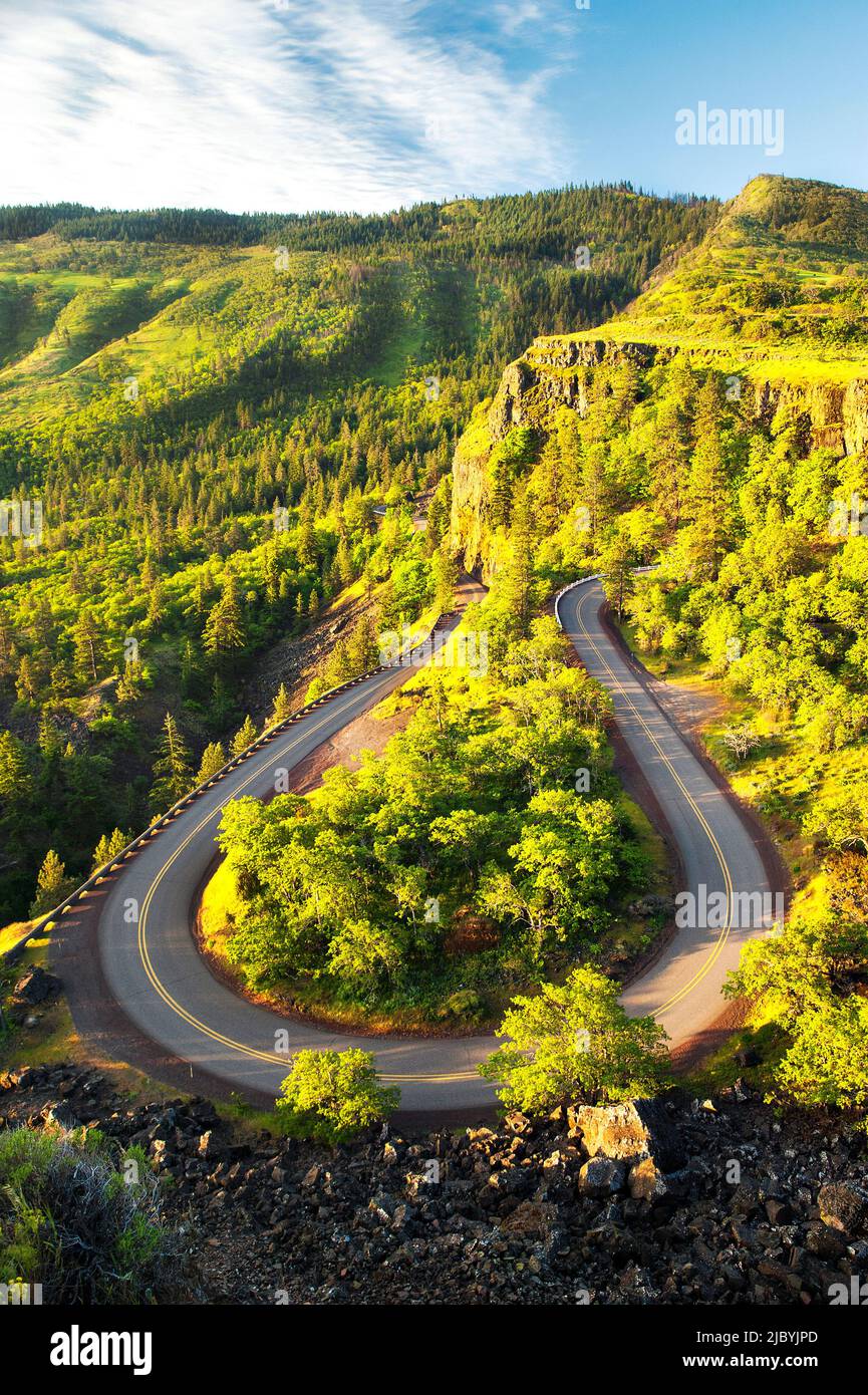 Rowena crest hi-res stock photography and images - Alamy