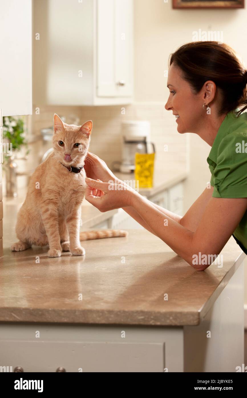 e Aged caucasian woman giving her cat a treat in the Kitchen, cat ...