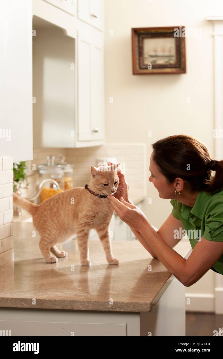Middle Aged caucasian woman giving her cat a treat in the Kitchen, cat ...