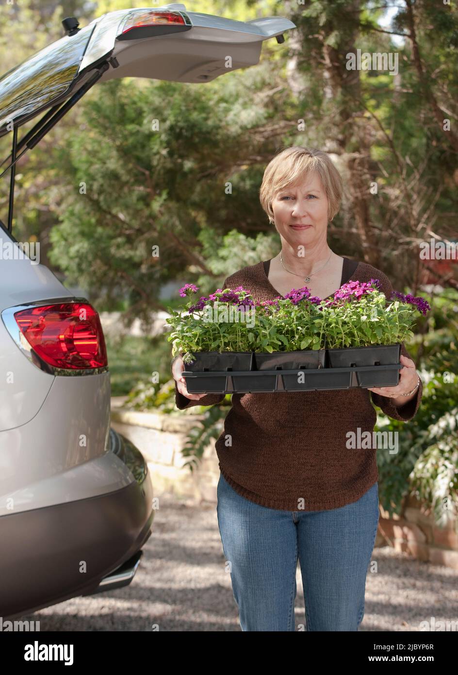 Unloading flowers hi-res stock photography and images - Alamy