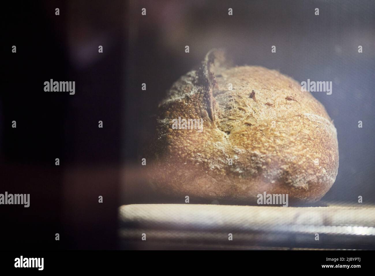 The process of making wheat bread at home. Baking bread in the oven ...