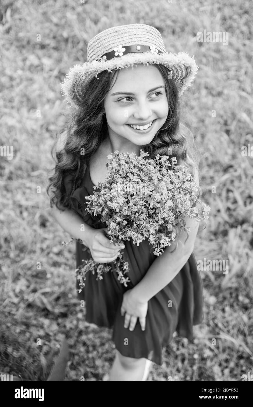 Little girl with freshly picked Hypericum perforatum, collecting herbs ...