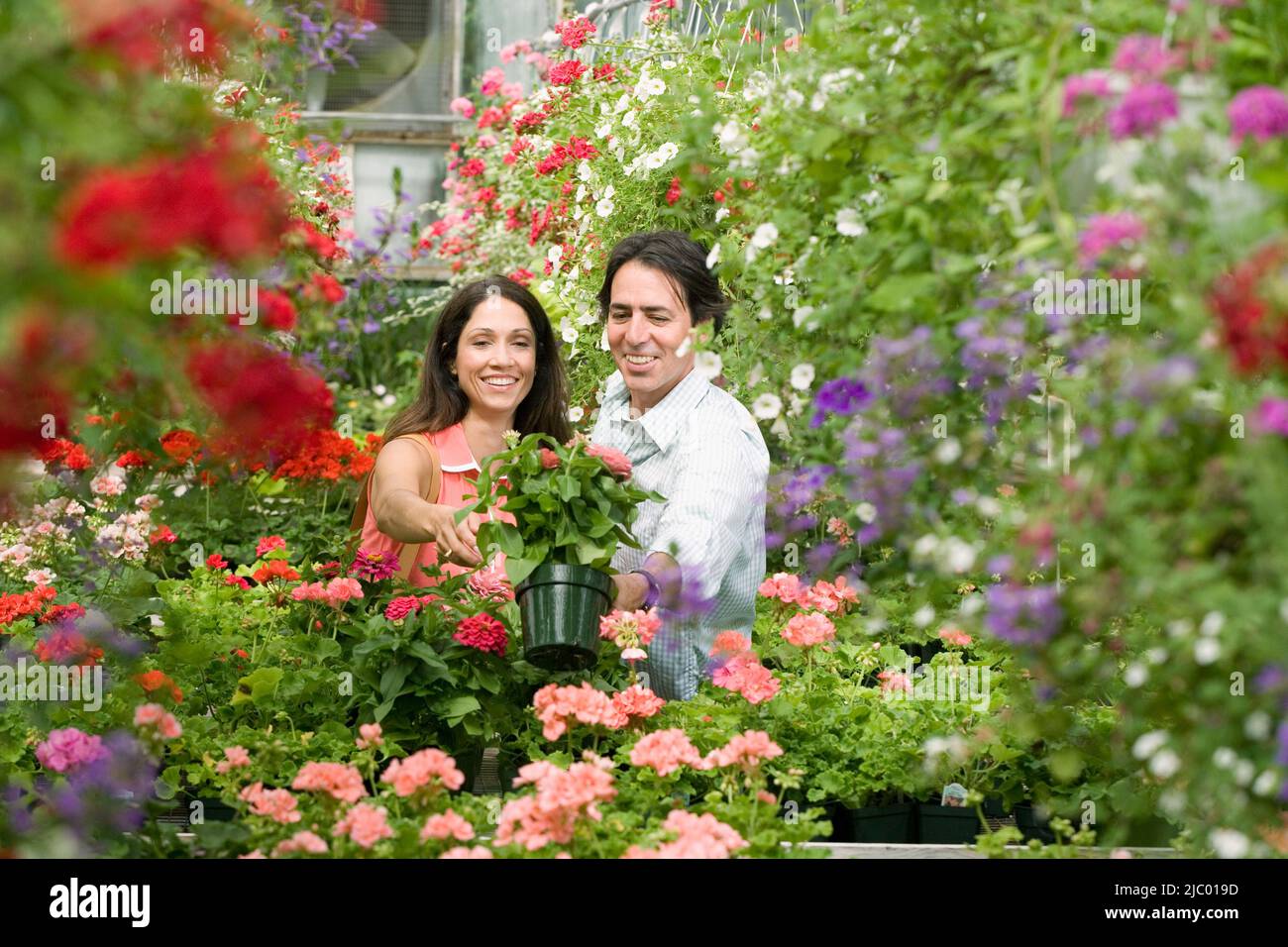 Vegetation adoring hi-res stock photography and images - Alamy