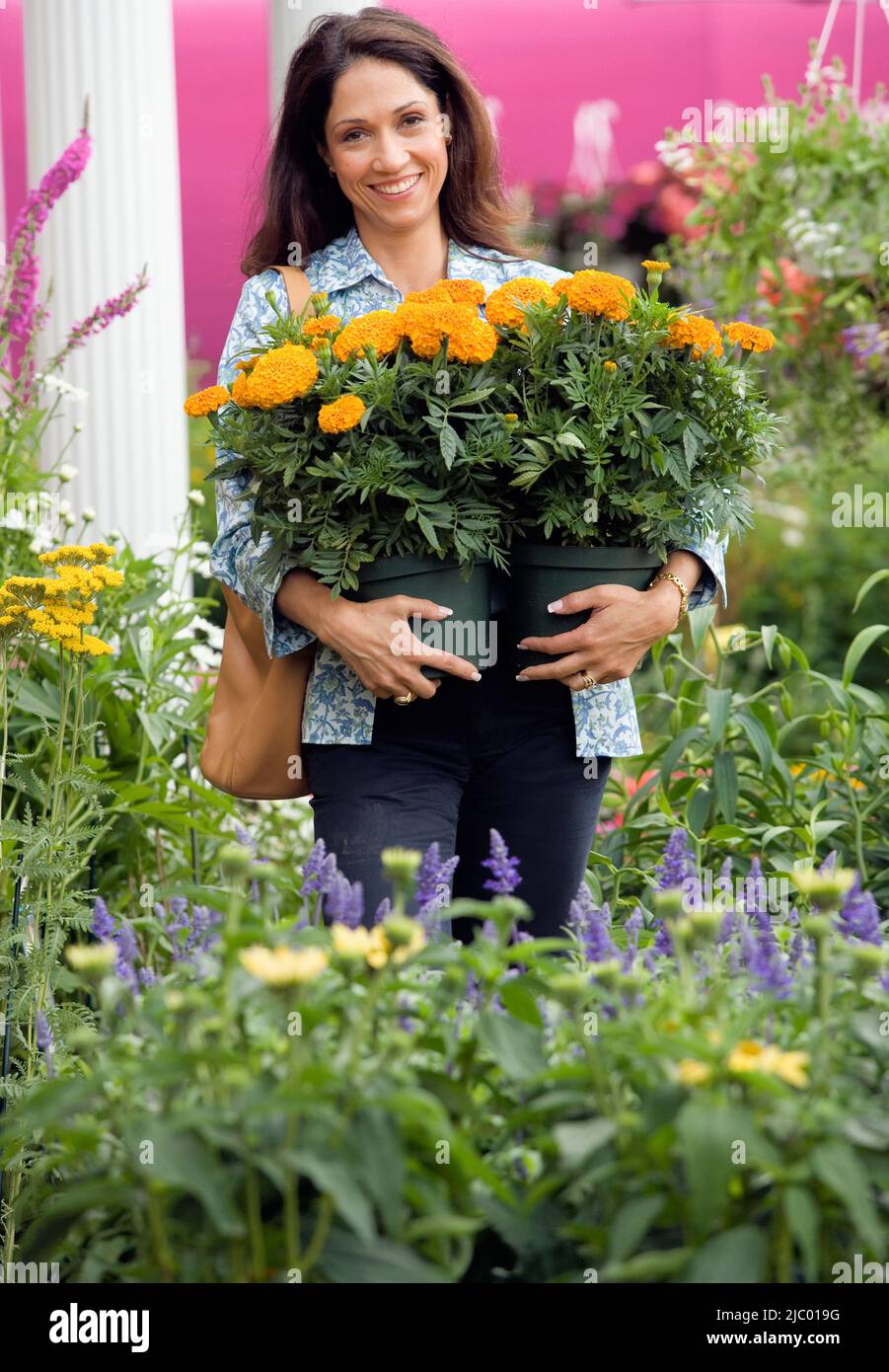 Woman carrying pot flowers hi-res stock photography and images - Alamy